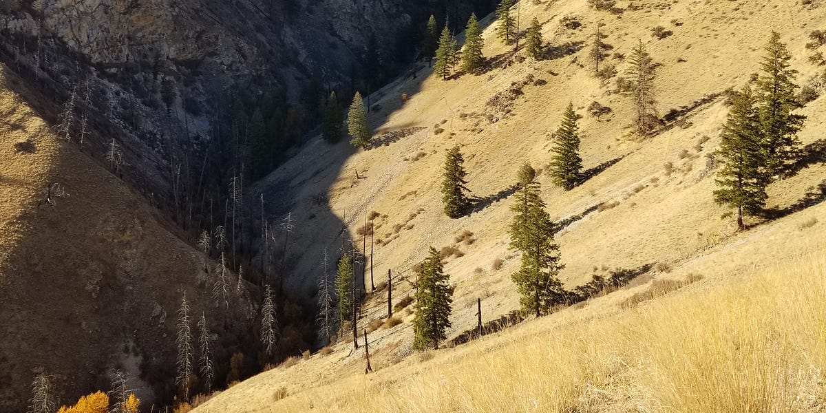 The Frank-ness of Comfort Zones - Taking Bearings