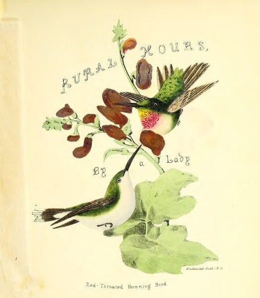 Into Spring with Susan Fenimore Cooper - by Adam M. Sowards