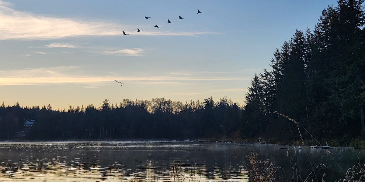 Shocked and Wondering about Wildlife - by Adam M. Sowards