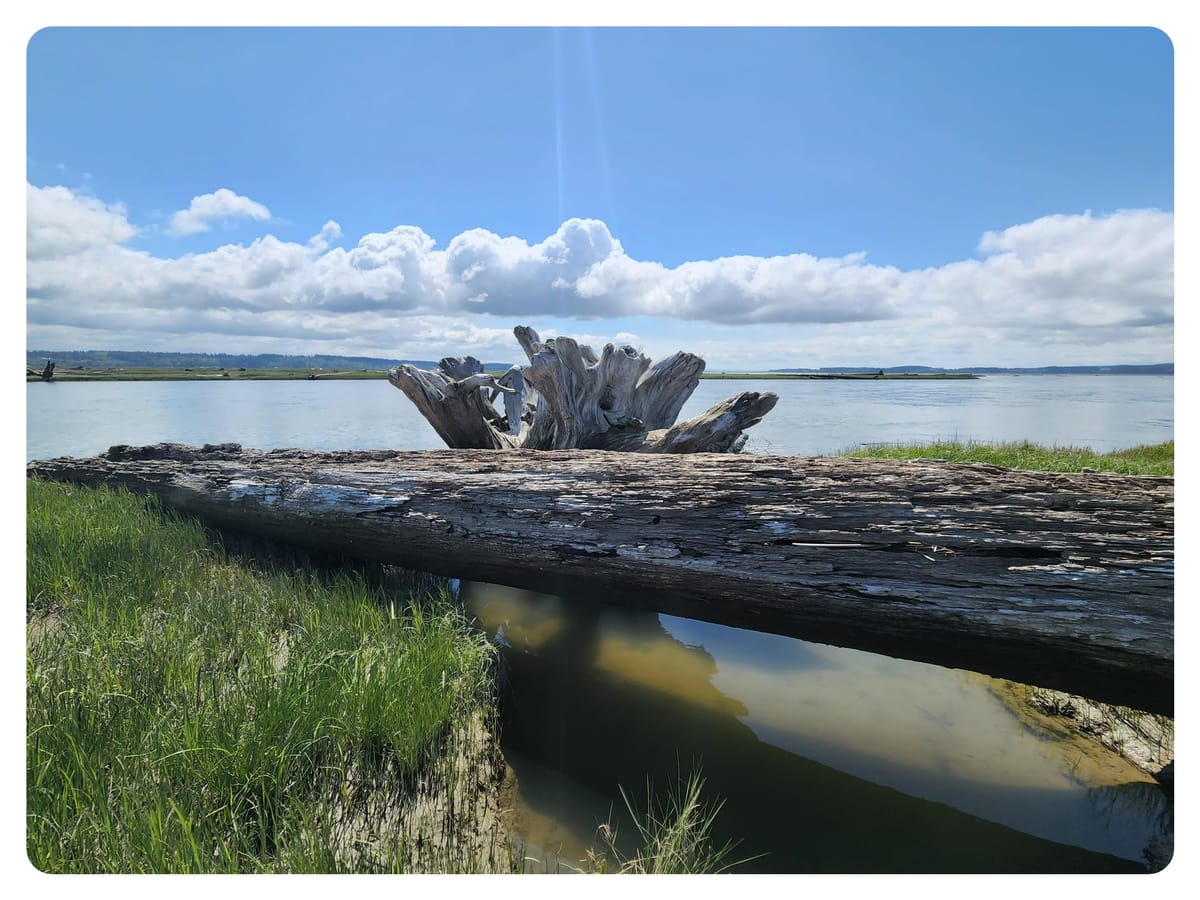 chapters - Adam M. Sowards — Taking Bearings